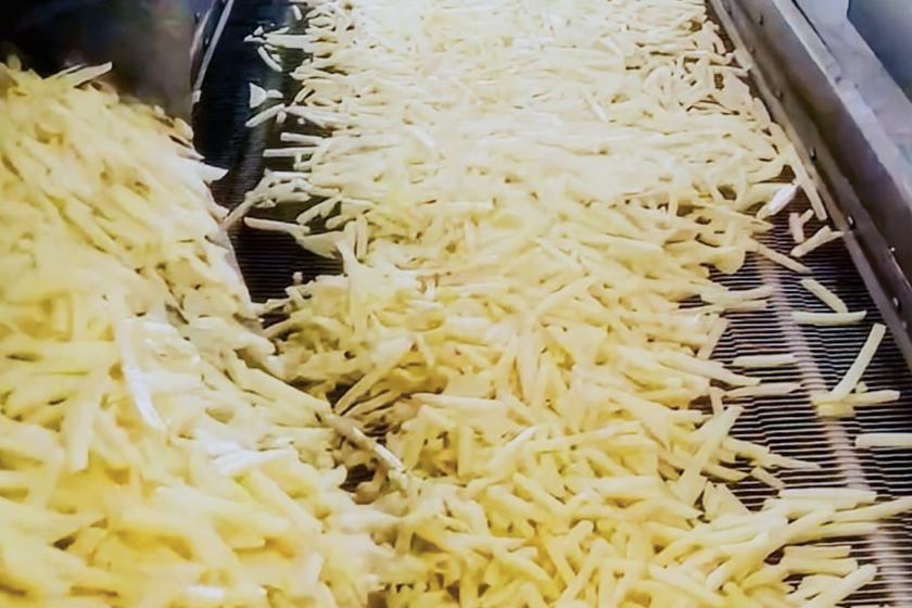 French Fries Production Factors: Raw Materials, Equipment & Supply Risks